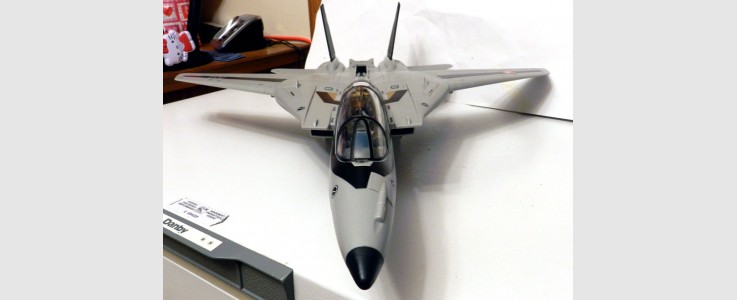 For Skystriker "Robotech VF-1S Veritech Skull Leader"